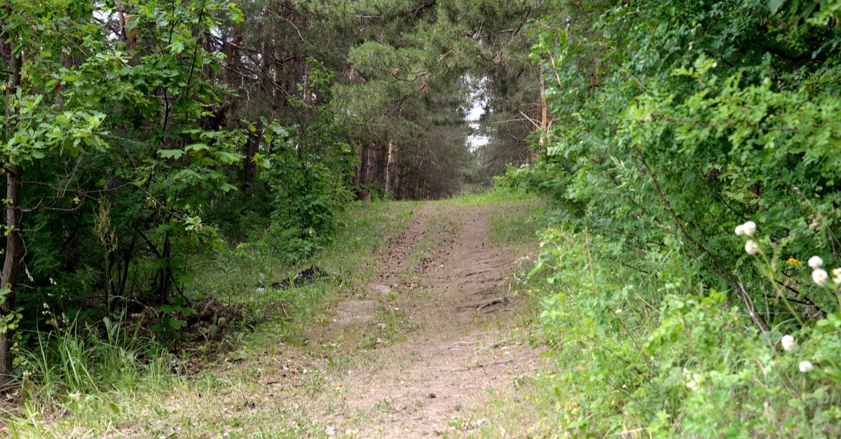 “Here All the Time.” – On Kitten Creek
