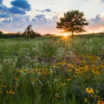 A Trip Around The Pasture – On Kitten Creek
